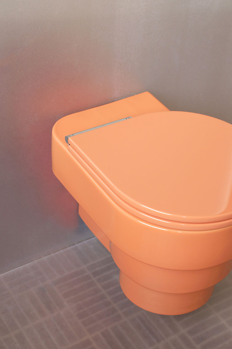 Finally, toilets with design