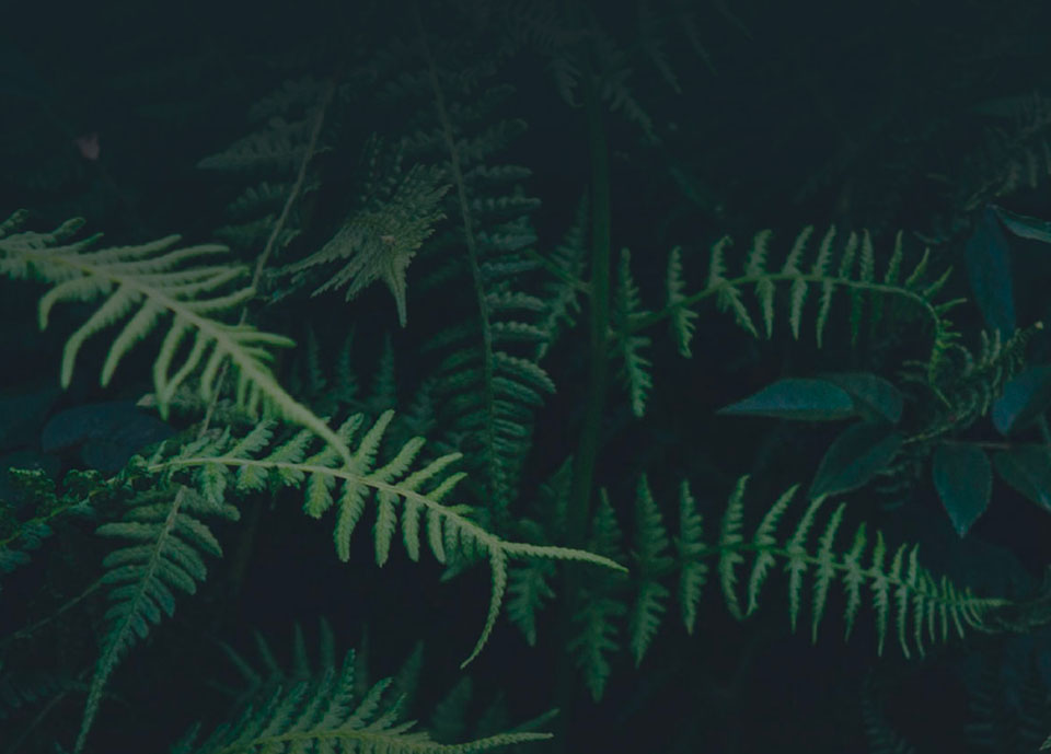 Create your outdoor space, get inspired by NOA solutions