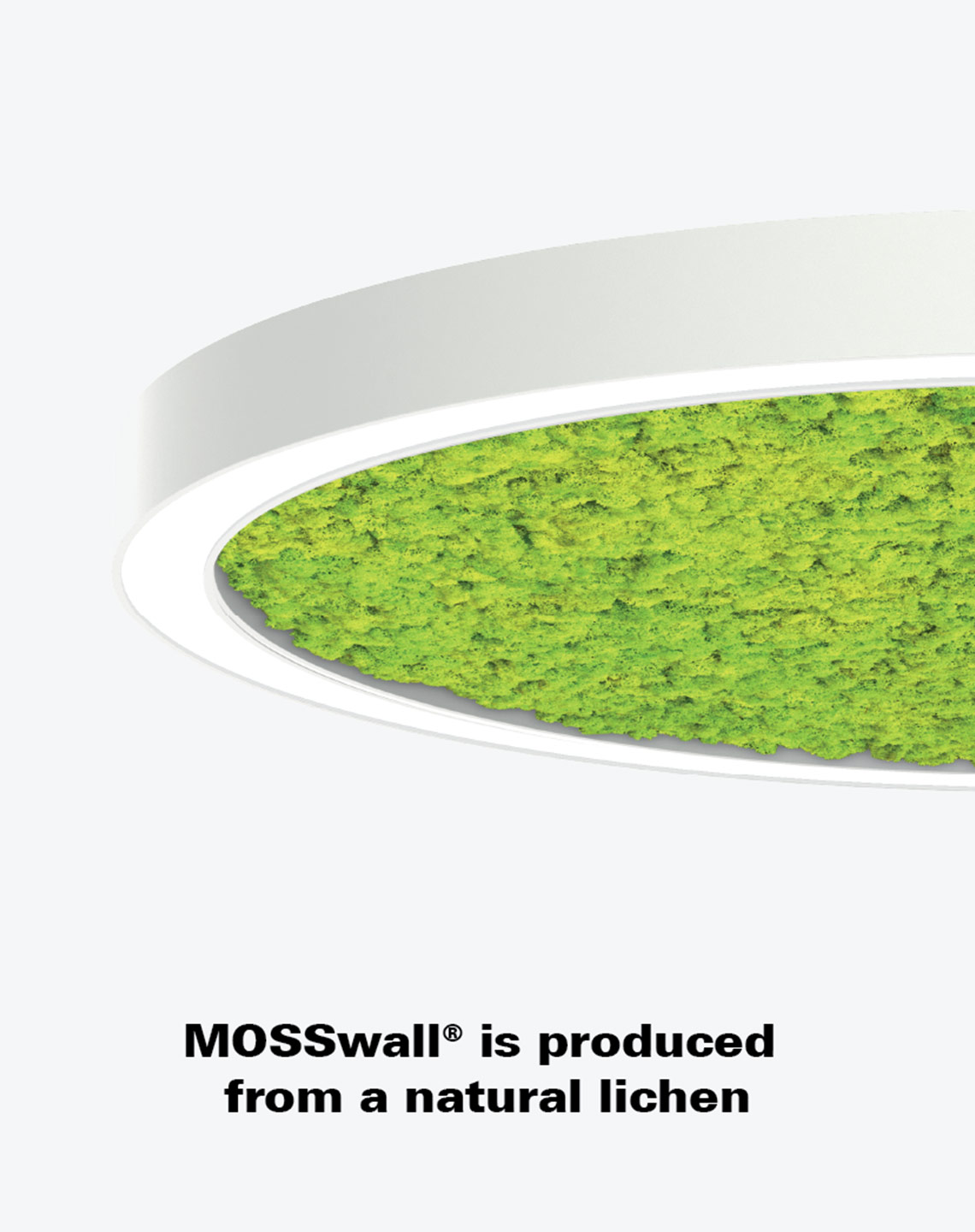 Intra lighting, top products 2022. Discover all in Catalogue 33