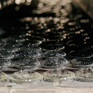 New collection Mussels: bright constellations with organic aesthetics
