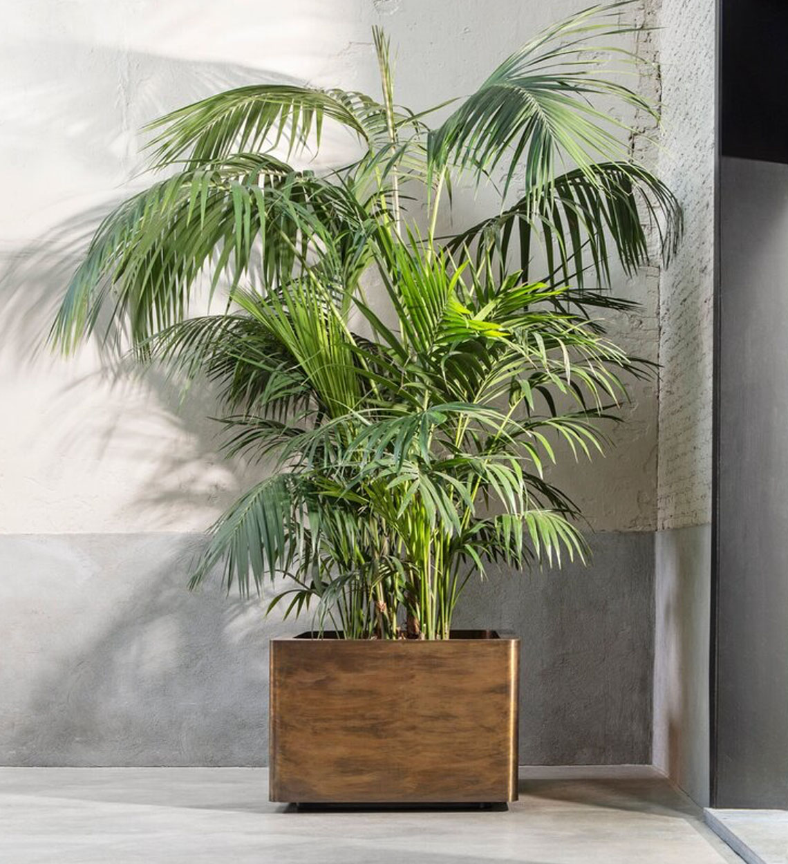 High-end luxury planters: Royal Botania Cuprum collection