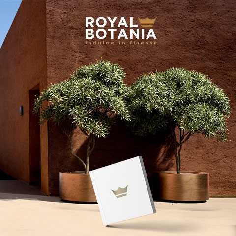High-end luxury planters: Royal Botania Cuprum collection