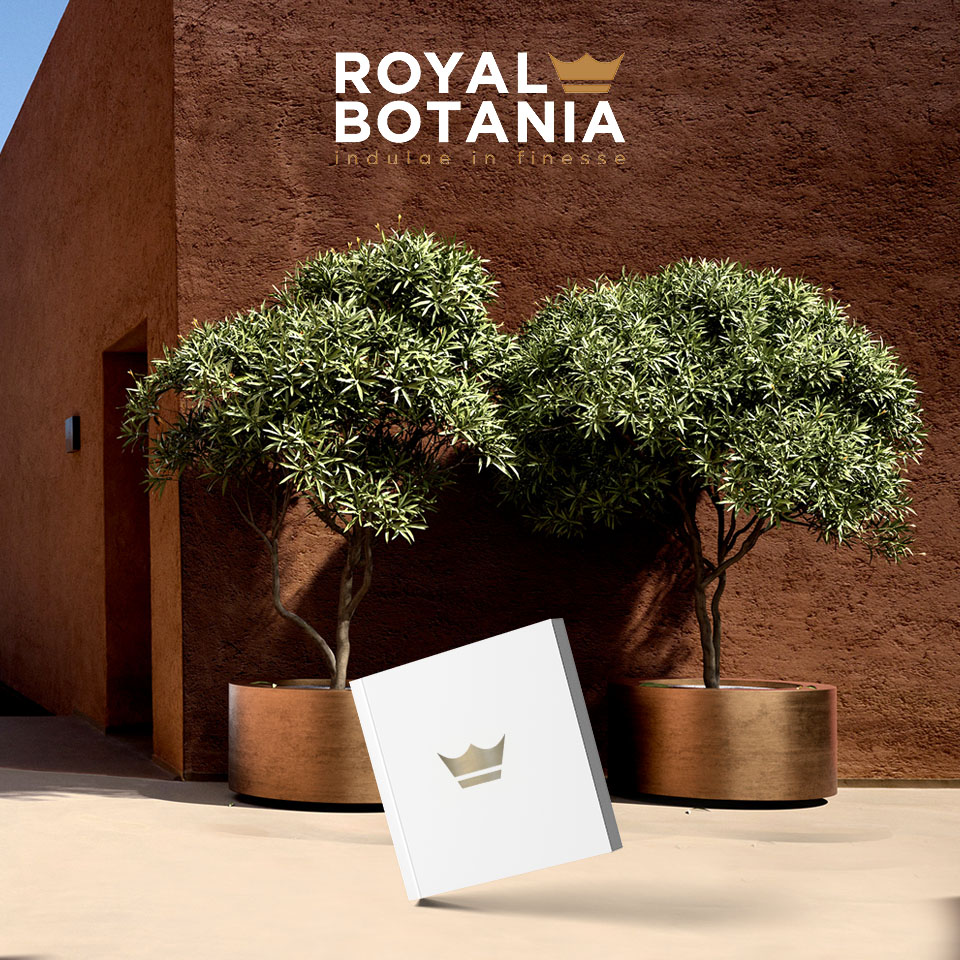 High-end luxury planters: Royal Botania Cuprum collection