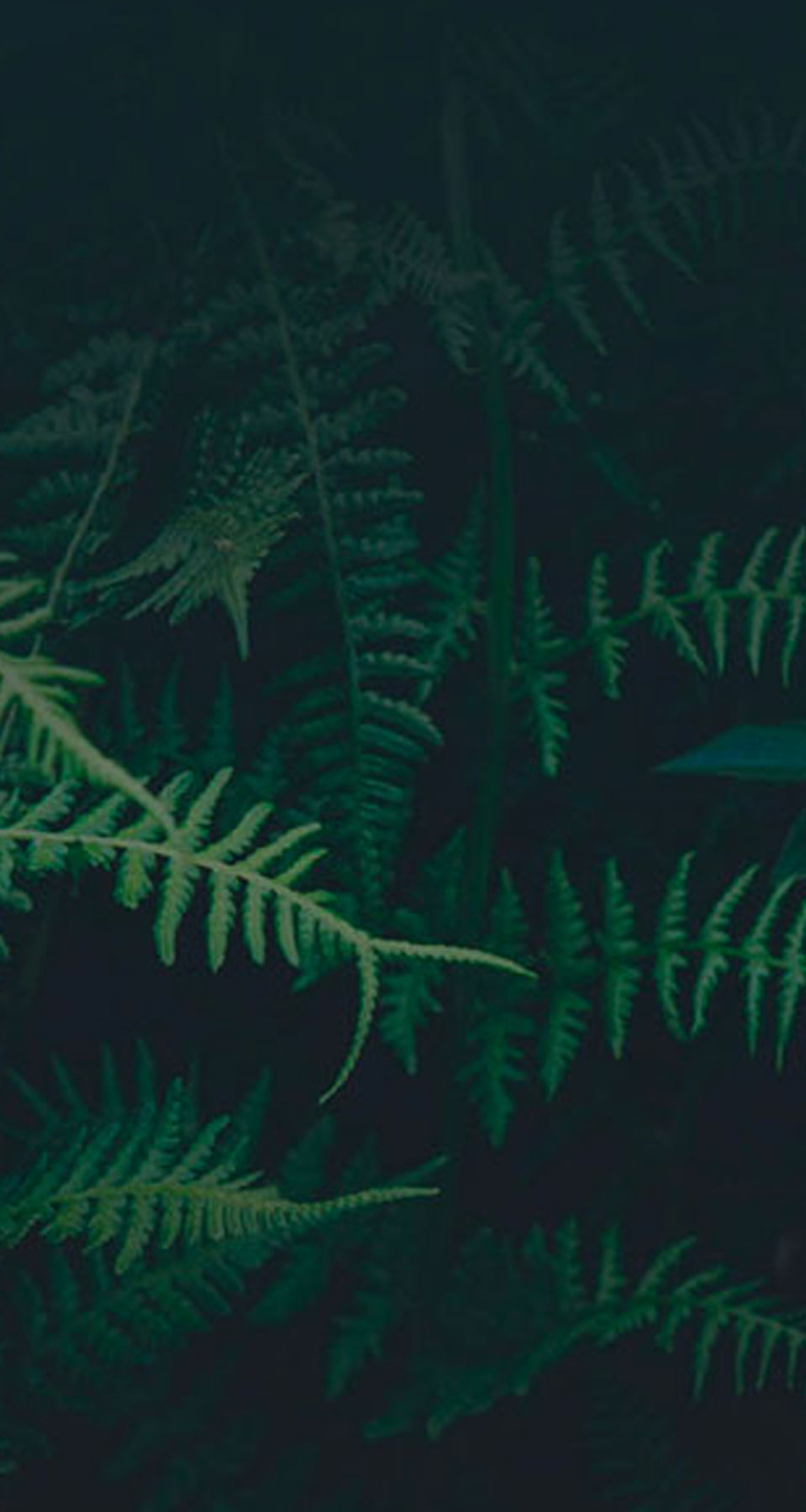 Get inspired by NOA outdoor solutions and plan your outdoor experience