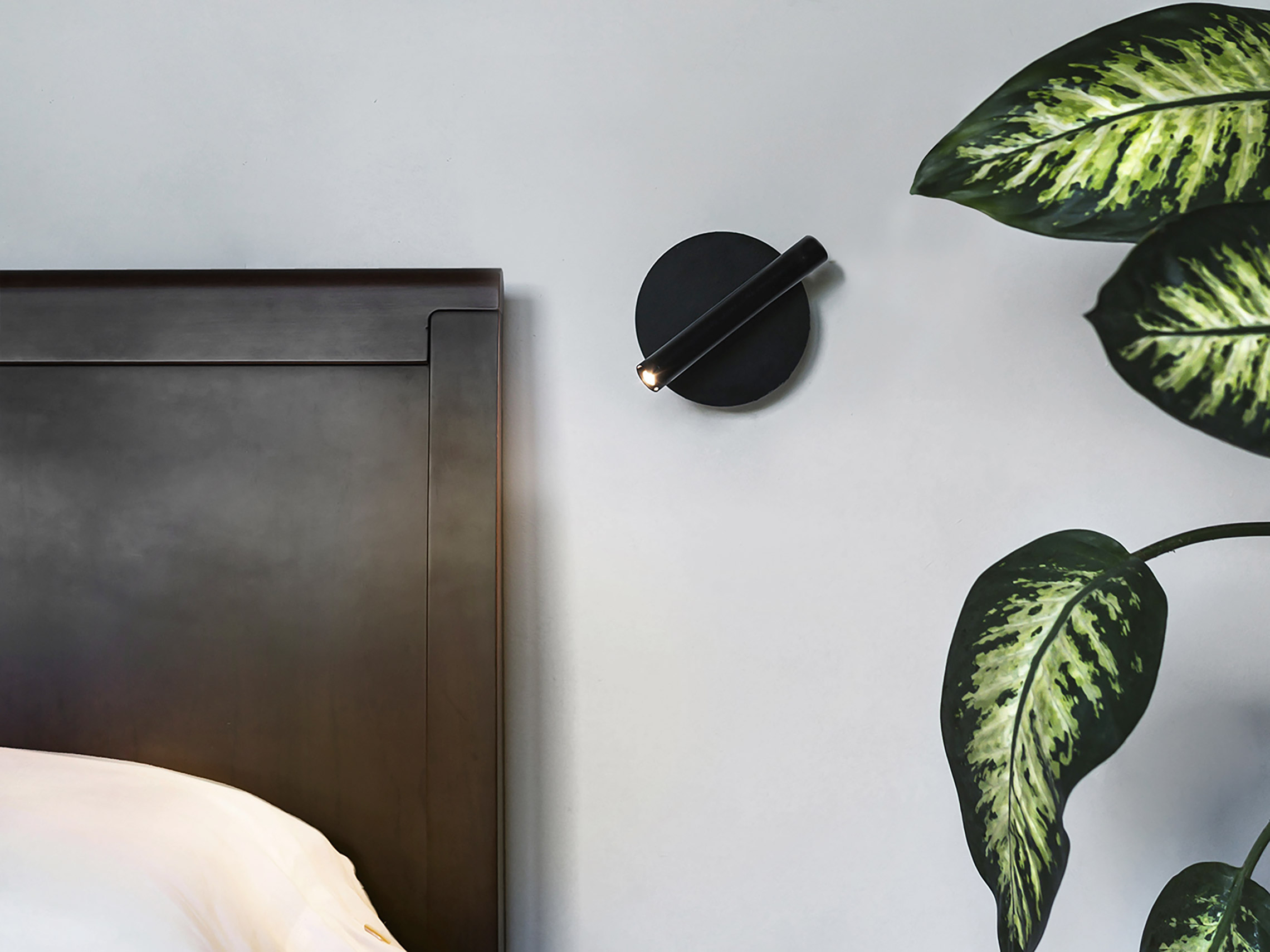 Lighting Beyond the Ordinary: OliveLab Transforms Light into Emotion